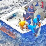 Private Fishing in St Lucia Charters - The Itinerary Breakdown