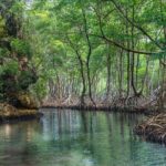 Private Full-Day at Los Haitises National Park - What Real Travelers Say