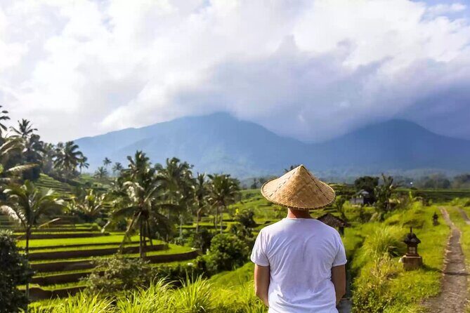 Private Full Day Bali Tour with Driver - Authenticity and Authentic Experiences