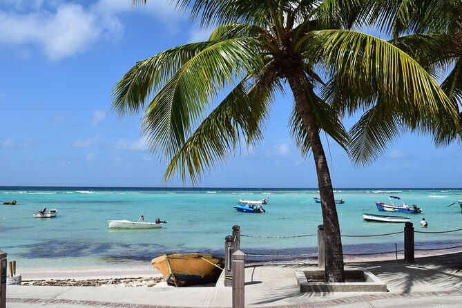 Private Full-Day Barbados Excursion - Final Thoughts
