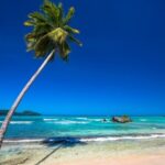 Private Full Day Beach Tour in Puerto Plata - What Sets This Tour Apart