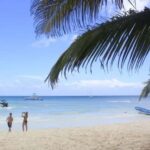 Private: Full-Day Excursion from Chavón & Saona Island - Who Would Love This Tour?