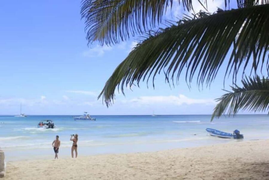 Private: Full-Day Excursion from Chavón & Saona Island - Who Would Love This Tour?