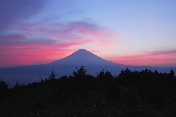 Private Full-Day Guided Tour in Mount Fuji Lakes - Analyzing the Value