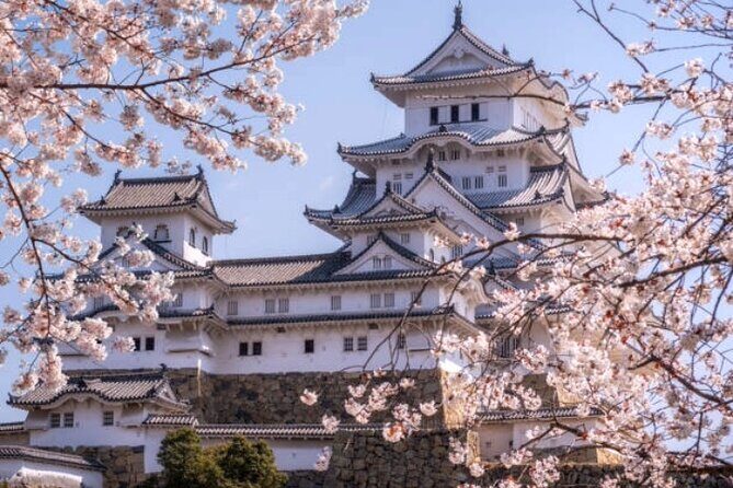 Private Full Day Himeji and Kobe Day Tour - Practical Considerations