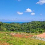 Private Full-Day Jungle to Shoreline Hiking Tour of Las Galeras - Who Will Love This Tour?