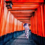 Private Full Day Kyoto HIghlights with Pick-Up and Drop-Off - Who Will Love This Tour?