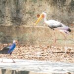 Private Full Day Mekong Delta Tour to Dong Thap Muoi Wetlands - The Value of This Tour