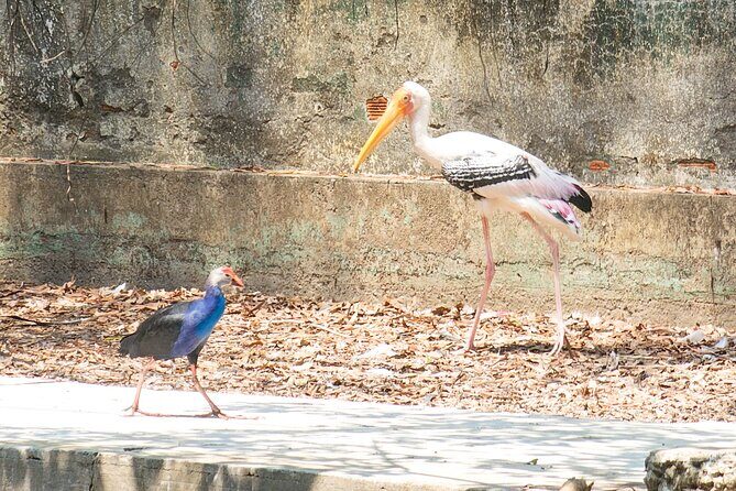Private Full Day Mekong Delta Tour to Dong Thap Muoi Wetlands - The Value of This Tour