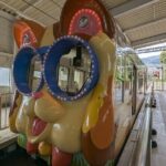 Private Full-Day Nara Tour Hozanji Temple Cable Car and Nara Park - The Practicalities and What You Get