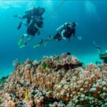 Private Full Day Racha Yai Scuba Diving Course from Phuket - Who Should Consider This Tour?