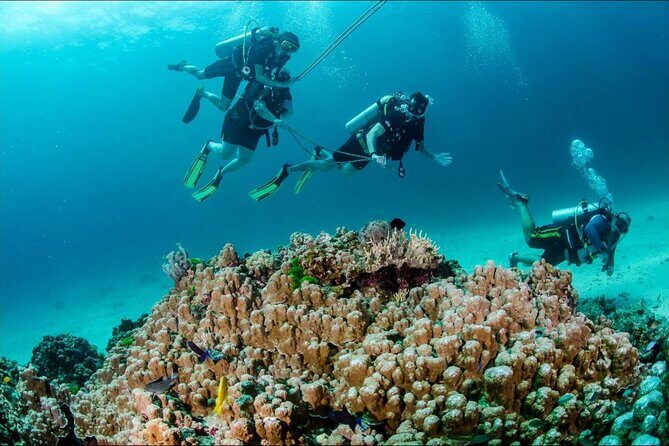 Private Full Day Racha Yai Scuba Diving Course from Phuket - Who Should Consider This Tour?