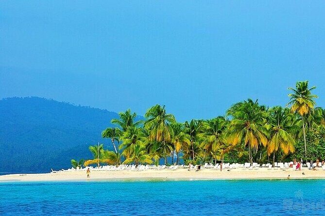 Private Full-Day Samaná Whale Watching Tour from Punta Cana - Practical Details and Value