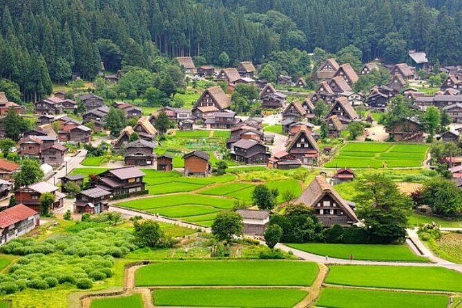 Private Full day Shirakawago and Takayama Tour w/Pick up - The Value of a Private, Customizable Tour