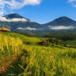Private Full-Day Tour: Discover The Best of Bali Destination - Practical Details and Value