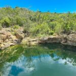 Private Full Day Tour in Bahía de las Águilas - Authenticity, Environmental Consciousness, and Guide Expertise