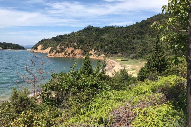 Private Full Day Tour in Naoshima Island for JR Pass Holder Only - Authentic Experiences and Traveler Feedback
