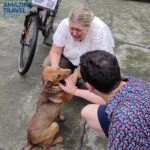 Private Full-day Tour in Quintessence of Ninh Binh - The Experiences Strengths and Possible Drawbacks