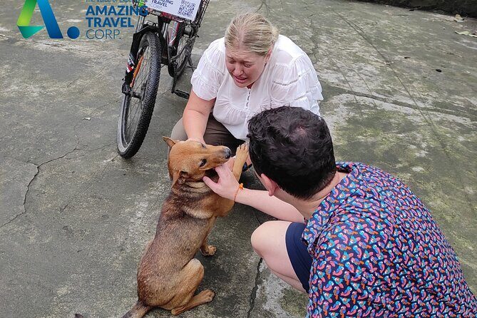 Private Full-day Tour in Quintessence of Ninh Binh - The Experiences Strengths and Possible Drawbacks