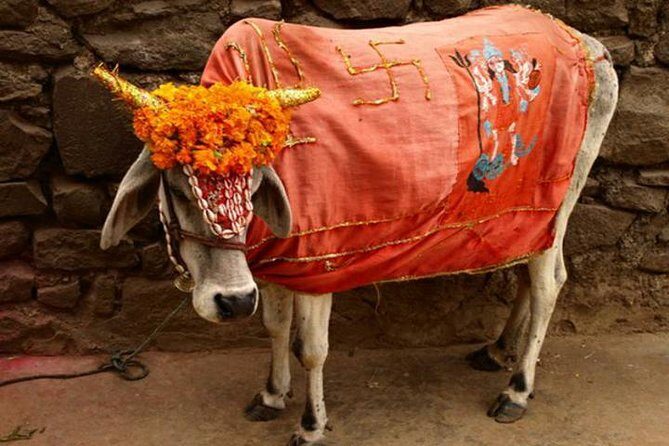 Private Full Day Tour of Haridwar and Rishikesh from Delhi - Final Thoughts: Who Is This Tour Best For?