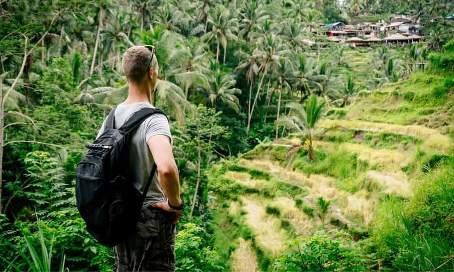 Private Full-Day Tour to the Real Bali Swing and Ubud - The Value of This Tour