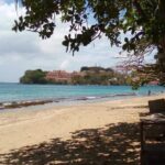 Private Fun Tour in Grenada - Practical Details and What to Expect
