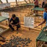 Private Galle Day Tour from Induruwa or Bentota Hotels - Stop 2: Madu River Boat Safari