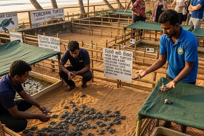 Private Galle Day Tour from Induruwa or Bentota Hotels - Stop 2: Madu River Boat Safari