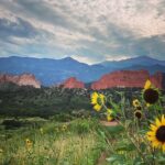 Private Garden of the Gods Jeep Tour - Who Will Love This Tour?