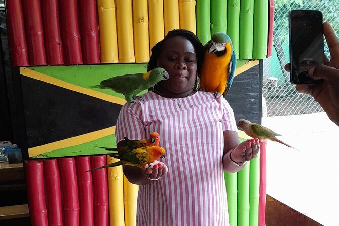 Private Gibbons Tour Outpost Experience - What’s Included & What’s Not