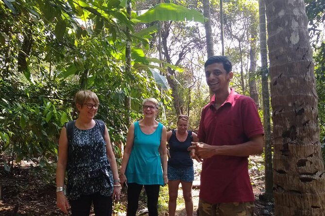 Private Goa tour of ancient rock art, laterite cave and bubble lake with lunch - Authentic Experiences and Noteworthy Details