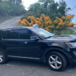 Private Ground Transfers - Pricing and Value for Money