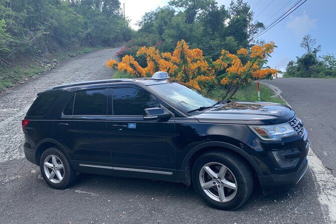 Private Ground Transfers - Pricing and Value for Money