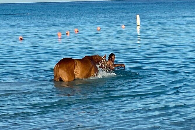 Private Group Scenic Tour in Barbados - Frequently Asked Questions