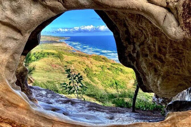 Private Guided Barbados Island Tour - What You Can Expect: Itinerary Breakdown