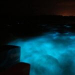 Private Guided Night Tour of Luminous Lagoon in Montego Bay - Transportation, Duration, and Practicalities