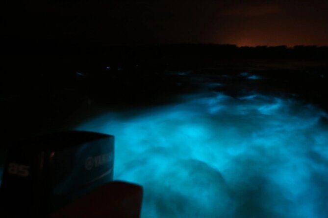 Private Guided Night Tour of Luminous Lagoon in Montego Bay - Transportation, Duration, and Practicalities