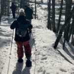 Private Guided Snowshoe Adventure in Glacier National Park - The Itinerary in Detail