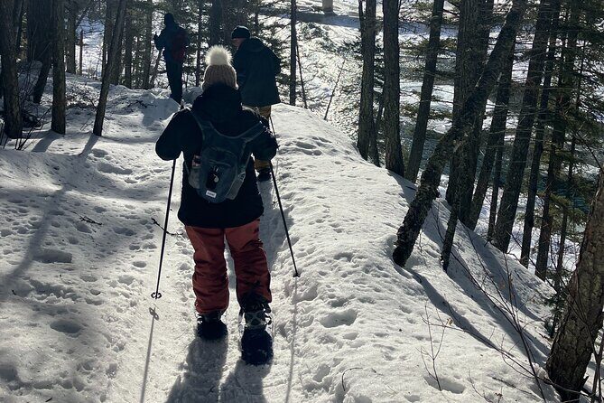 Private Guided Snowshoe Adventure in Glacier National Park - The Itinerary in Detail