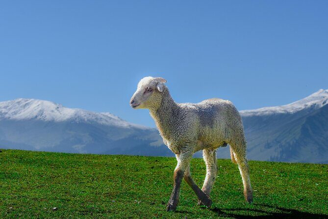 Private Guided Tour of Gulmarg from Srinagar - Detailed Breakdown of the Itinerary