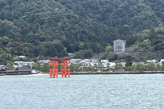 Private Guided Tour to Miyajima from Osaka or Kyoto - Who Will Love This Tour?