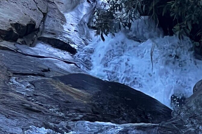 Private Guided Tours in Rio las Pailas - Who Will Love This Tour?