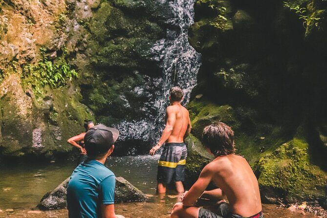 Private Guided Waterfall Hike Rainforest Adventure - A Closer Look at the Tour Experience