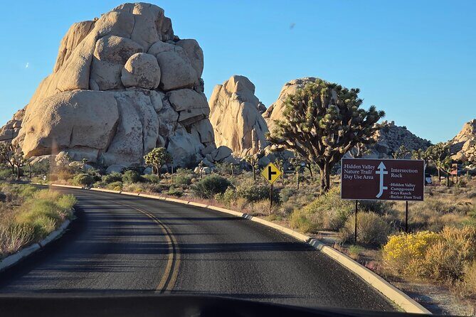 Private H2 Hummer for up to 6 in Joshua Tree National Park - Top Highlights and Practical Considerations