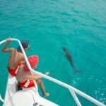 Private Half Day Afternoon Snorkel and Cruise on Serendipity - What’s Included and How Does the Pricing Add Up?