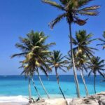 Private Half-Day Barbados Excursion - Who Is This Tour Perfect For?