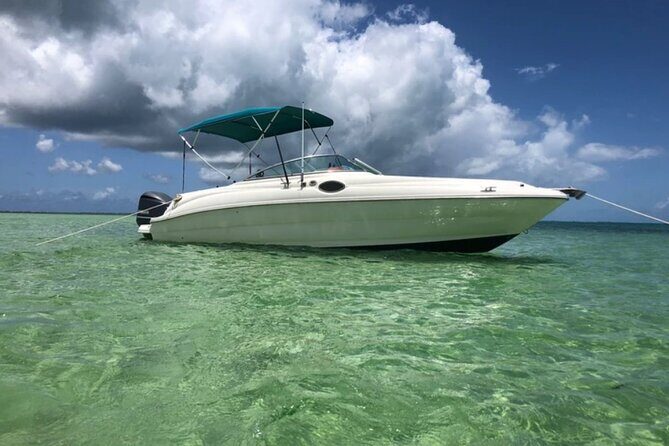 Private Half-Day Charter to Stingray City, Starfish Point and Snorkeling Tour - Who Will Love This Tour?