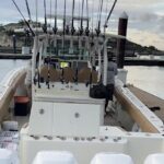 Private Half Day Deep Sea Fishing Morning on Reel Buoys - Practical Tips for Your Trip