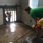 Private Half Day Panda Volunteer Tour - Additional Options and Considerations