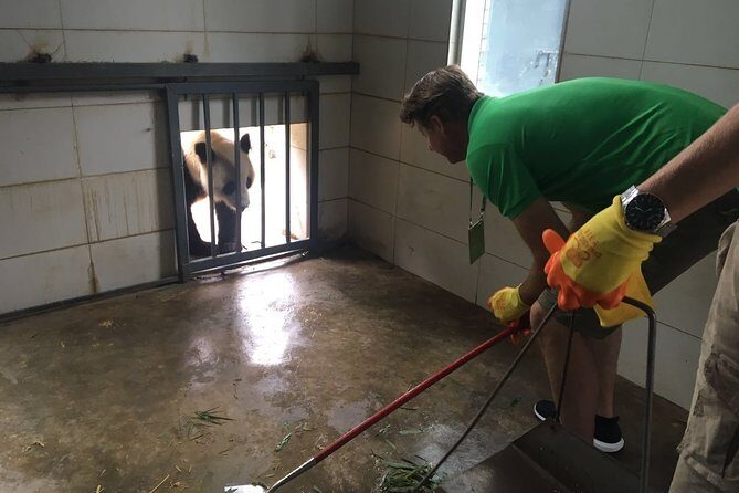 Private Half Day Panda Volunteer Tour - Additional Options and Considerations